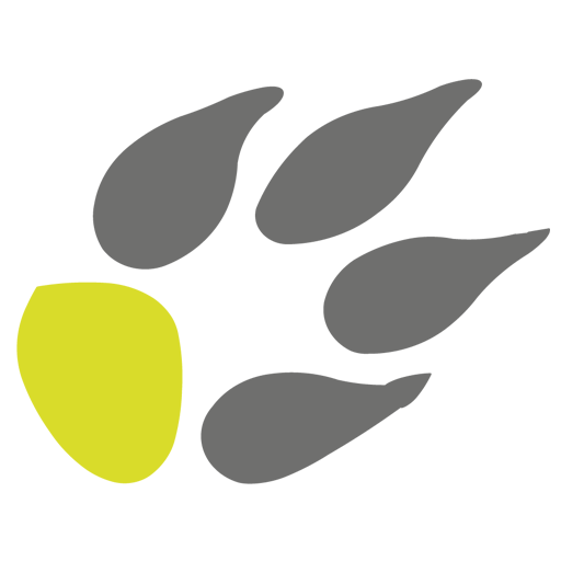 Außengestaltung mit der Baufuchs GmbH